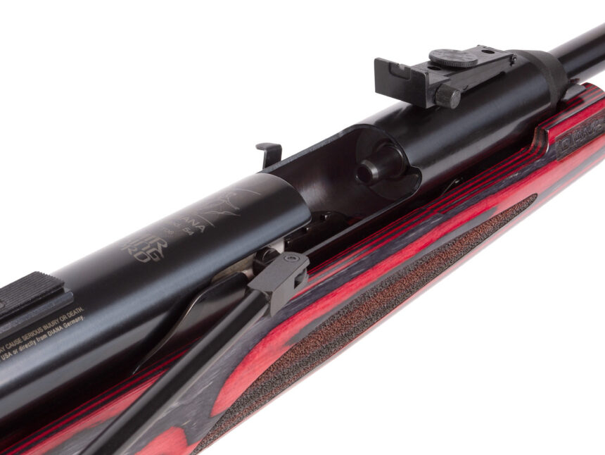 DIANA 54 AIRKING PRO LAMINATED • AirGun24 Diana